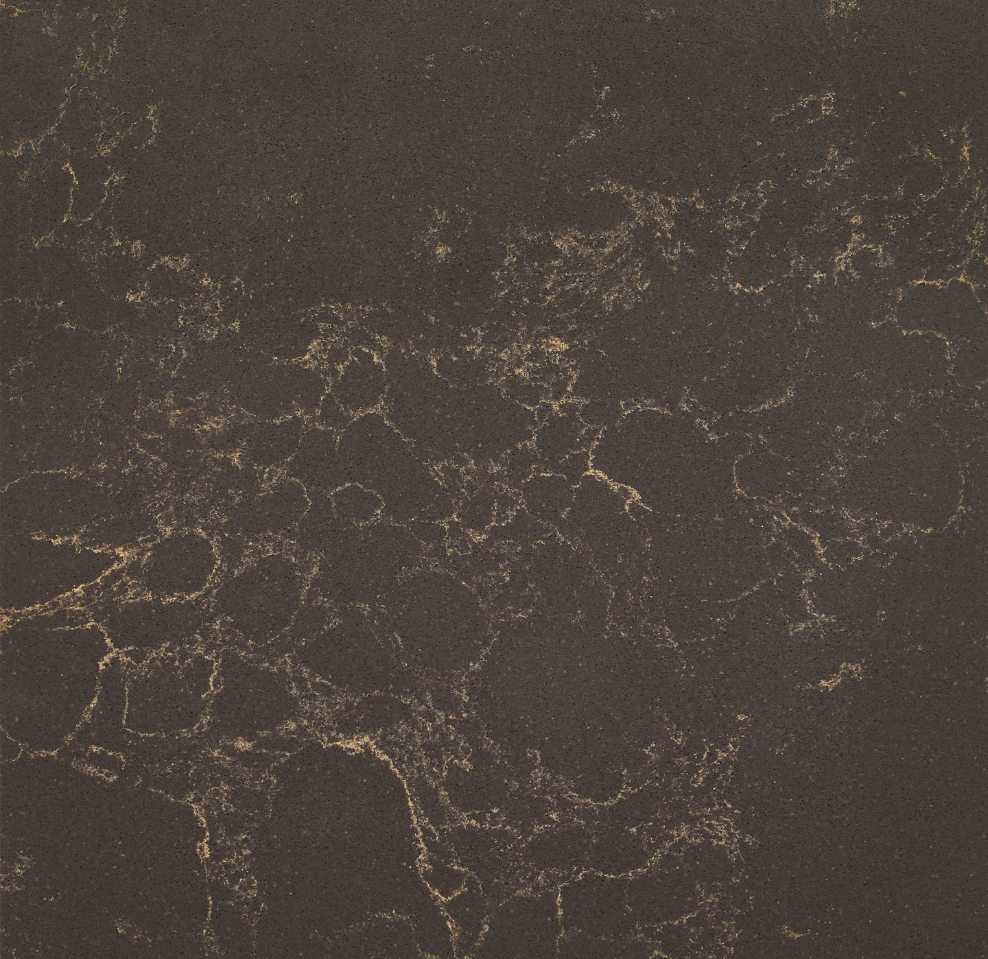 Quartz Kitchens Countertops
